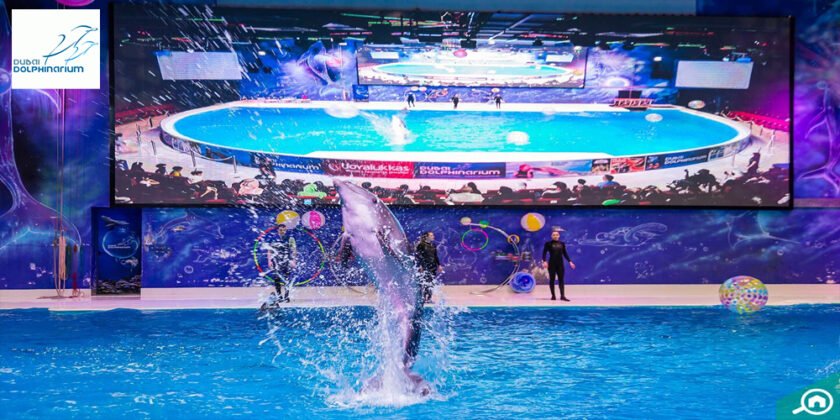 Dubai Dolphin Park – Rainbow Led Display