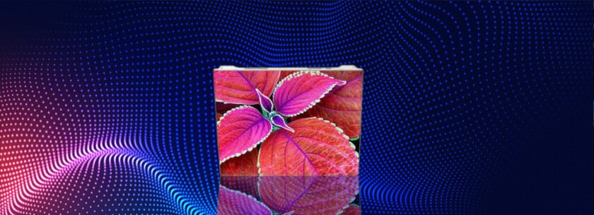 Indoor Led Display – Rainbow Led Display